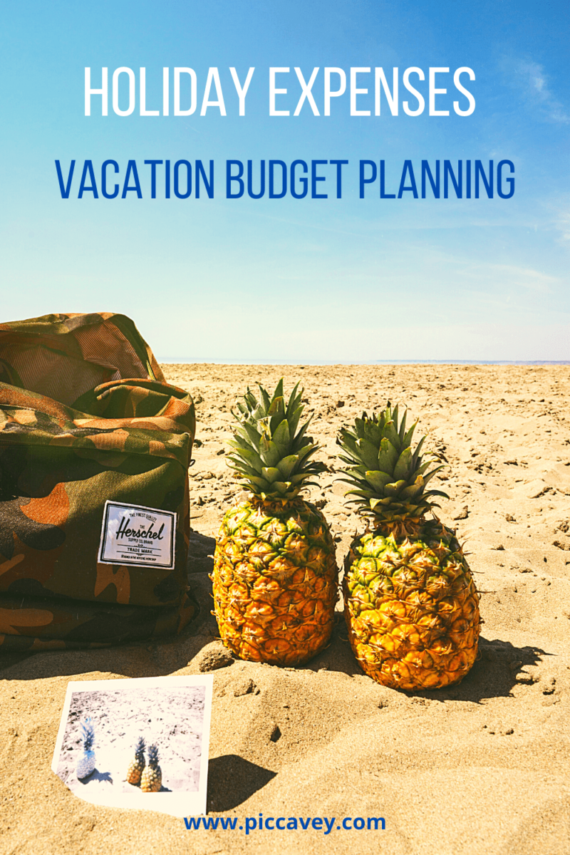 4 Holiday Expenses You Shouldn't Forget To Budget For - Piccavey