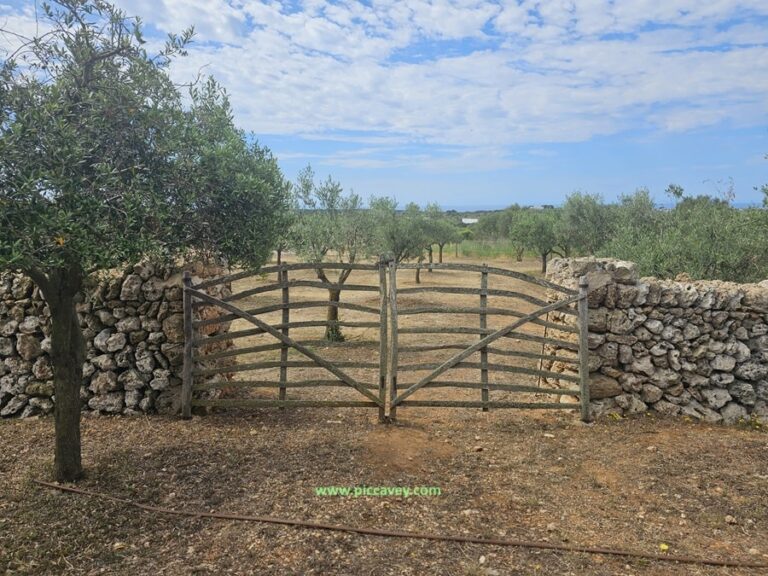 Menorca Food - Traditional Bites + Where to Eat on the Island - Piccavey